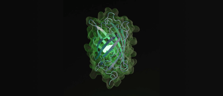 ESM3 | A New Frontier for Advanced Protein Design - Future Medicine AI